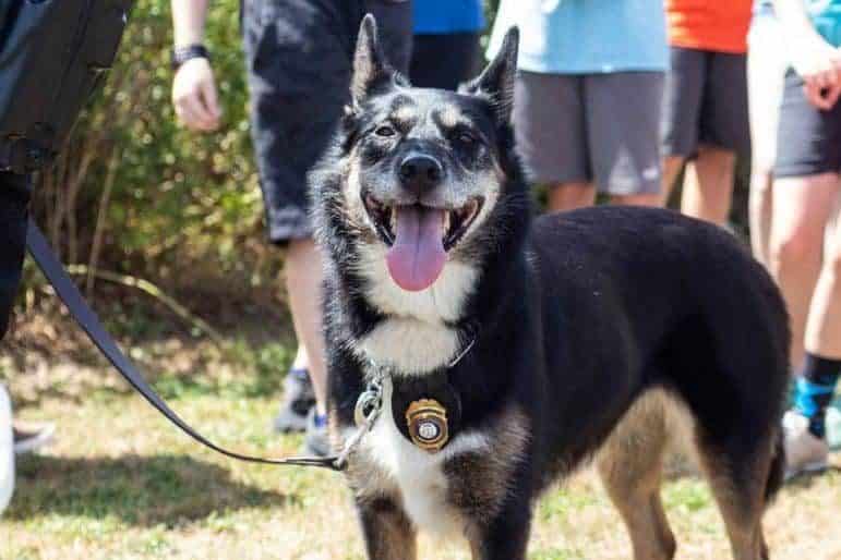 RI State Police: K-9 Ruby Found - WarwickPost.com